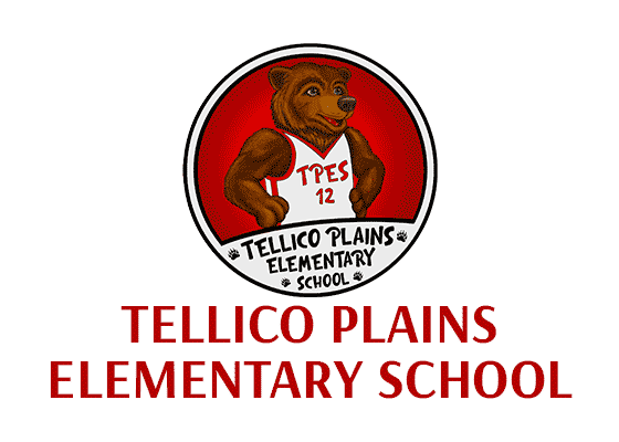 TPES Little Cubs Cheerleaders - Athletics - Tellico Plains Elementary ...